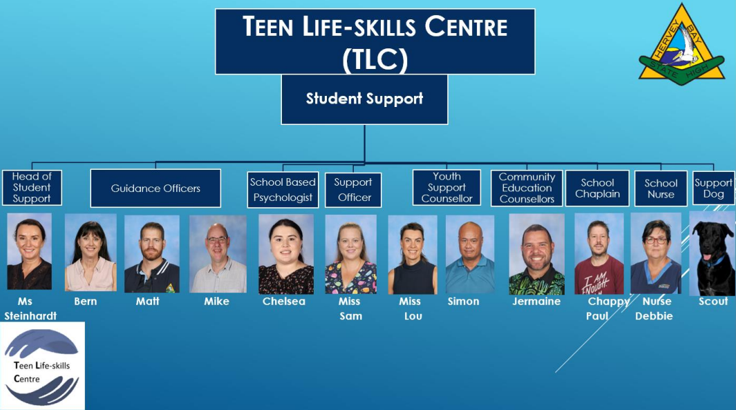 Student services and support programs